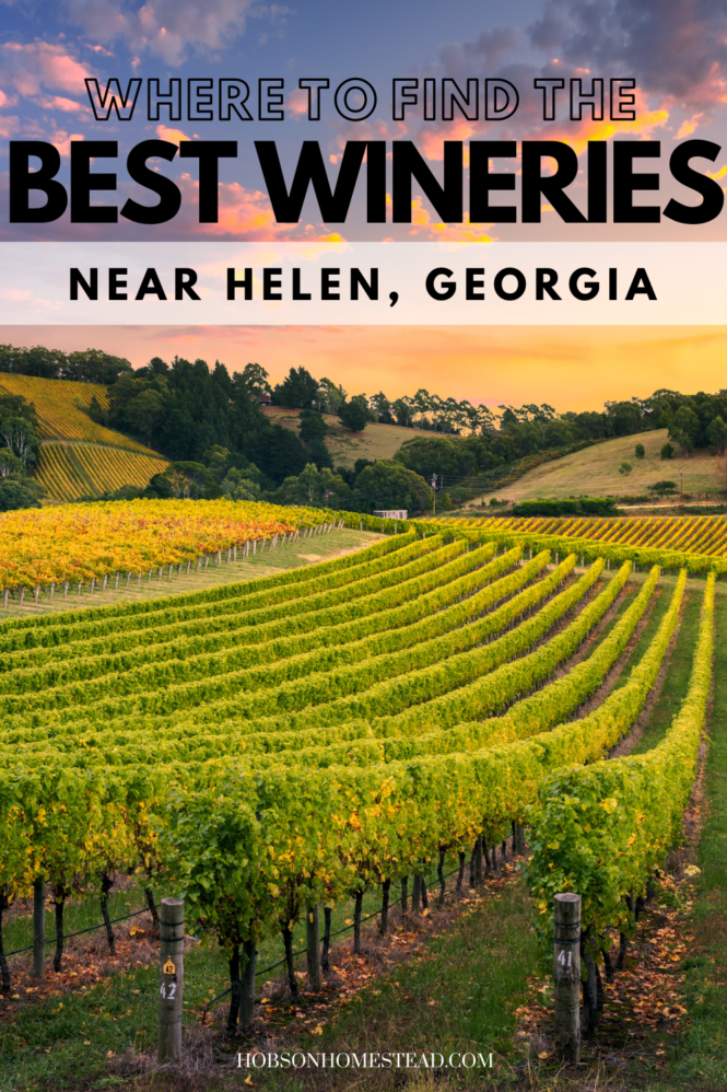 Where to Find the Best Wineries Near Helen, Georgia - The Hobson Homestead