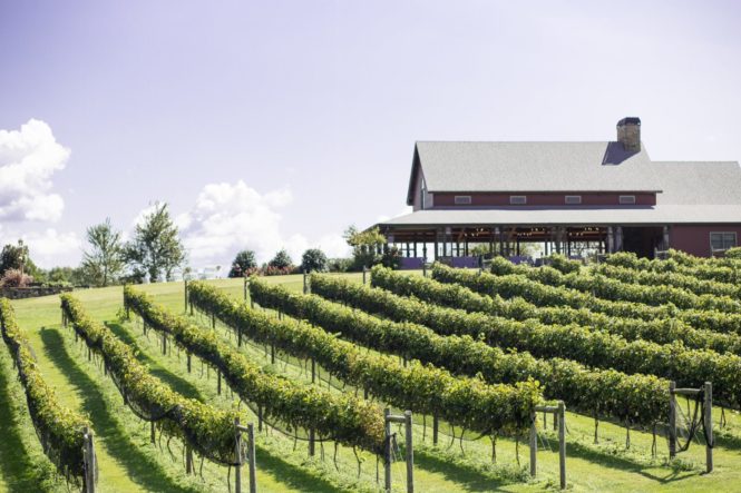 Where to Find the Best Wineries Near Helen, Georgia - The Hobson Homestead