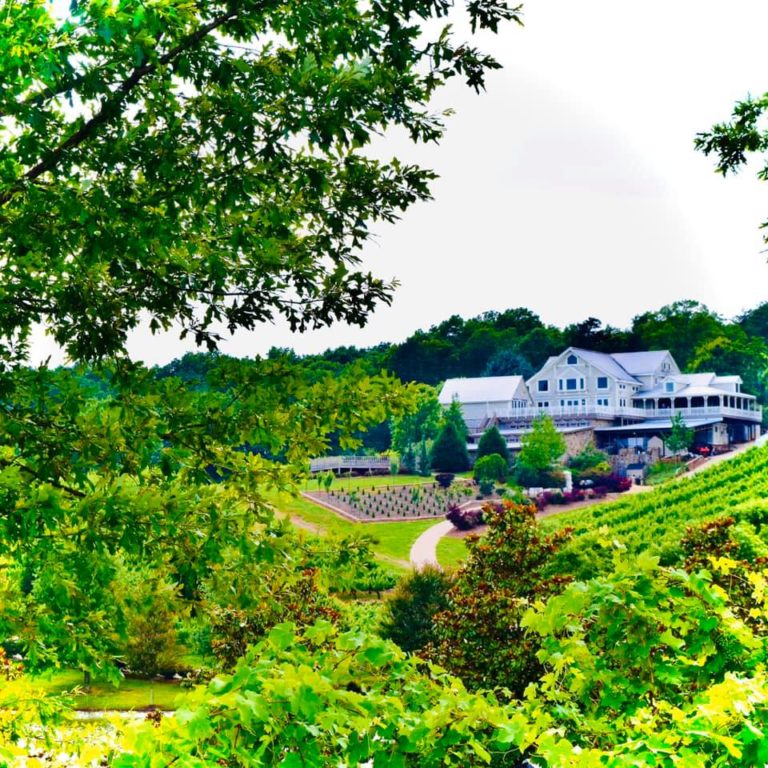 Where to Find the Best Wineries Near Helen, Georgia - The Hobson Homestead