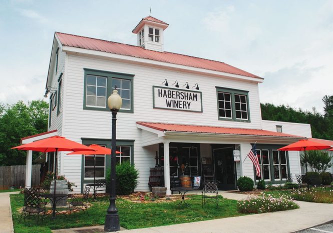Where to Find the Best Wineries Near Helen, Georgia - The Hobson Homestead