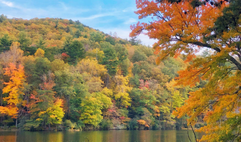 How to Hit Peak Leaf Season in Helen - The Hobson Homestead