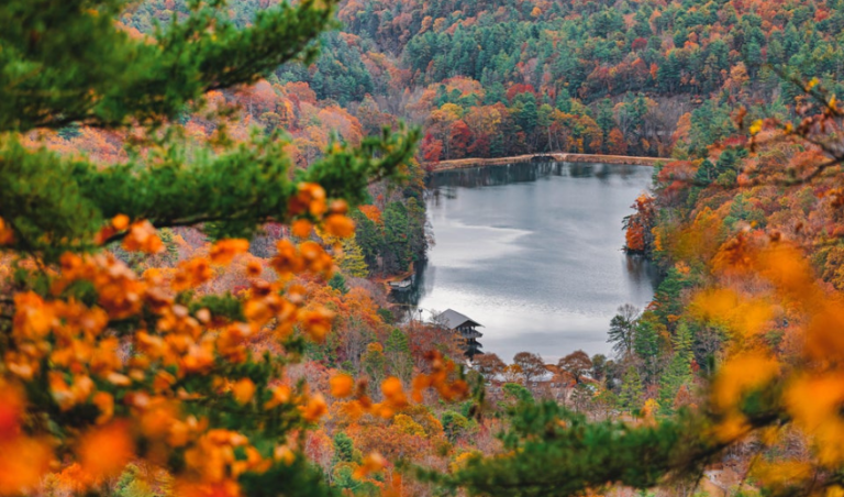 Where to See the Most Colorful Fall Foliage Near Helen - The Hobson ...