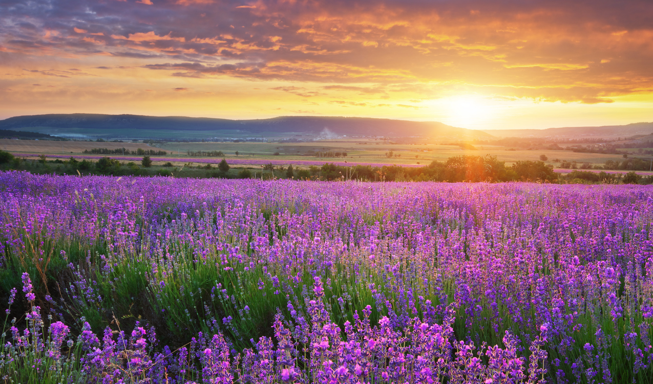 The Best Spring Bucket List for Helen, Georgia - The Hobson Homestead