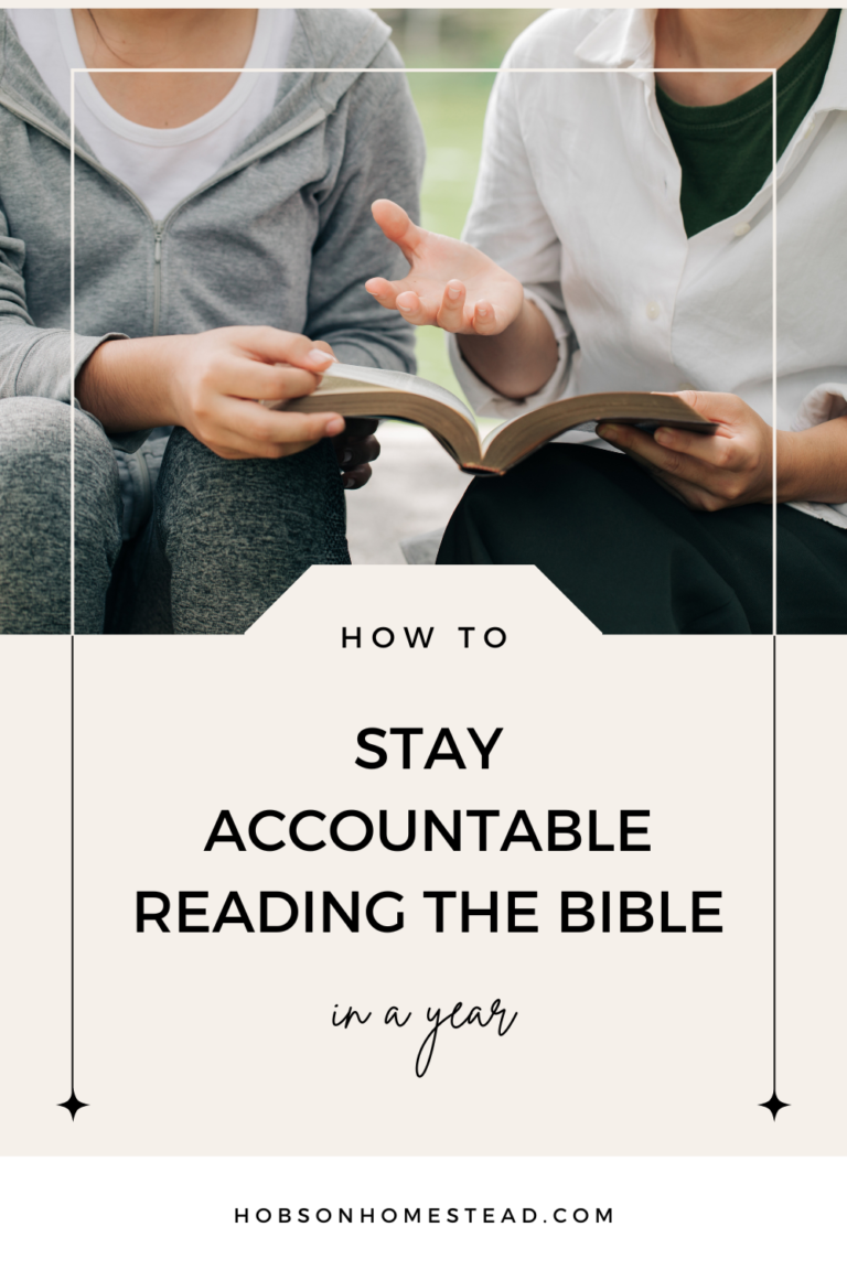 How to Get Accountability Reading the Bible in a Year - The Hobson ...