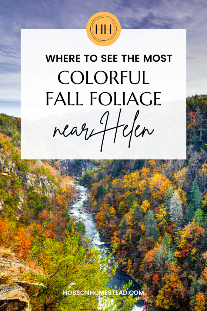 Where to See the Most Colorful Fall Foliage Near Helen - The Hobson ...