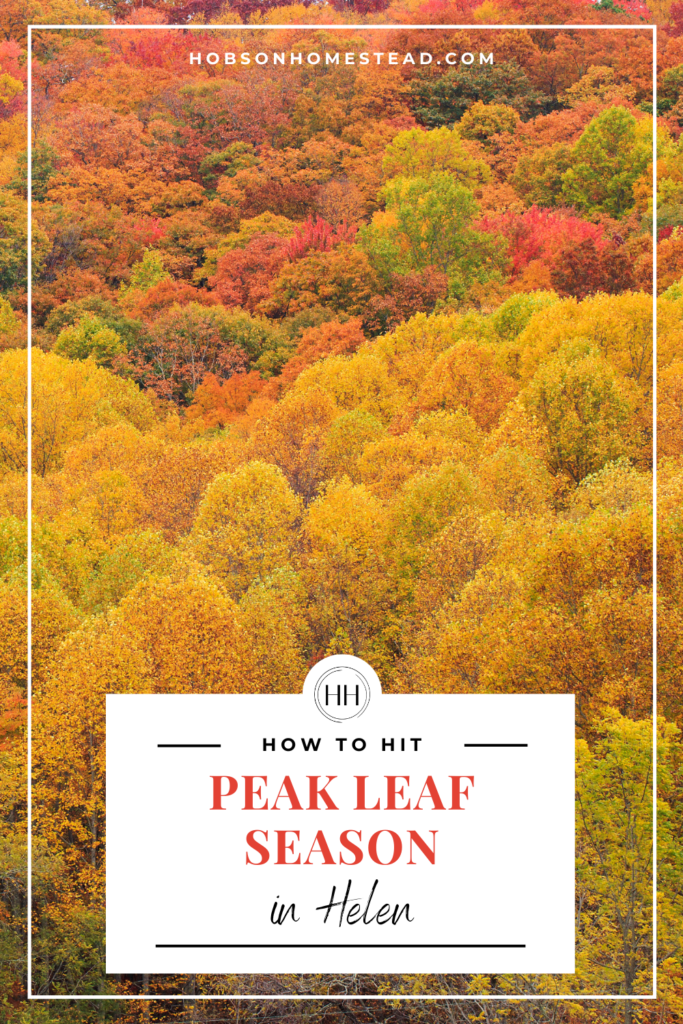 How to Hit Peak Leaf Season in Helen - The Hobson Homestead