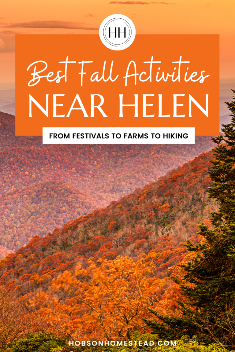Best Activities to Do in Fall Near Helen - The Hobson Homestead