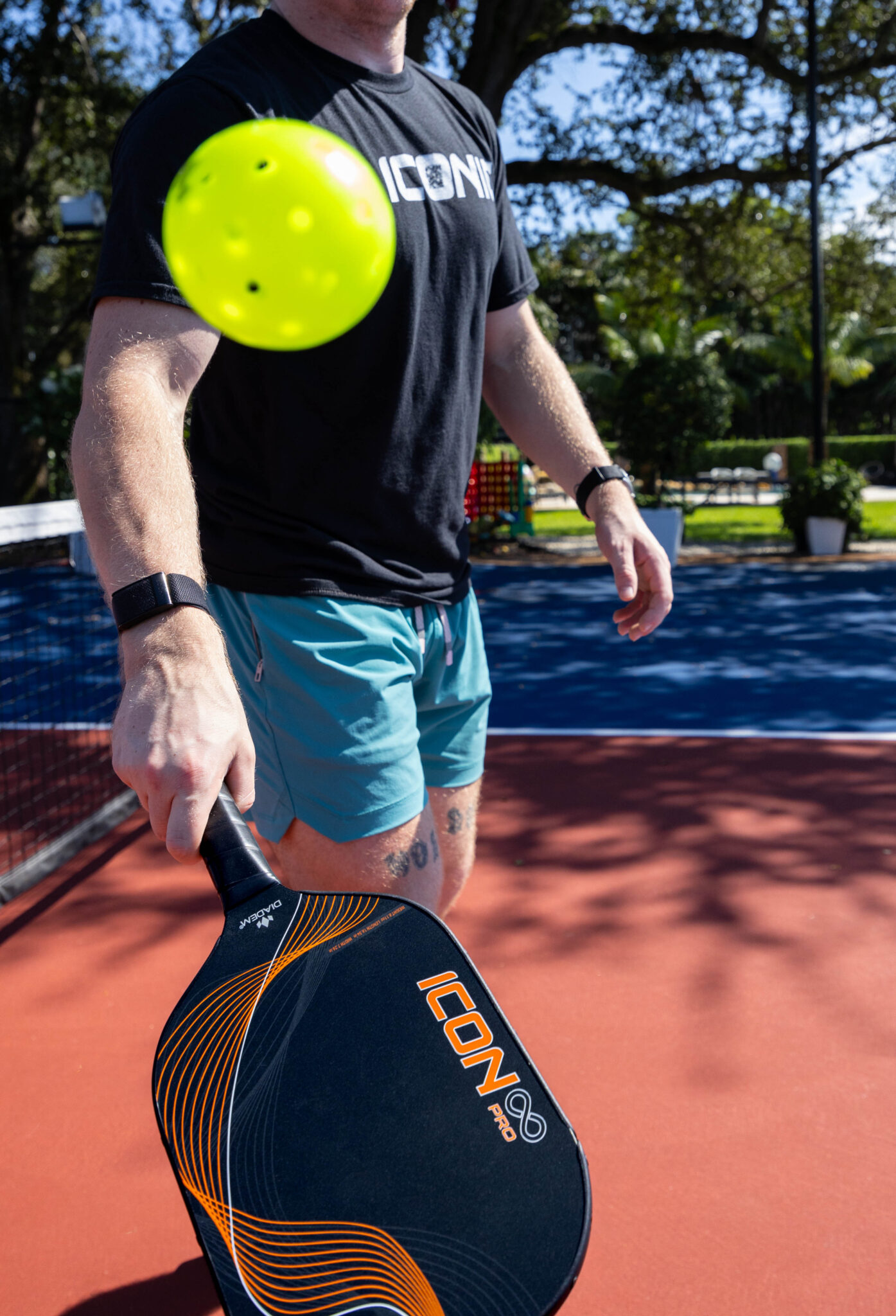 Rating Diadem's New Icon Infinity Pro Pickleball Paddle - The Hobson ...